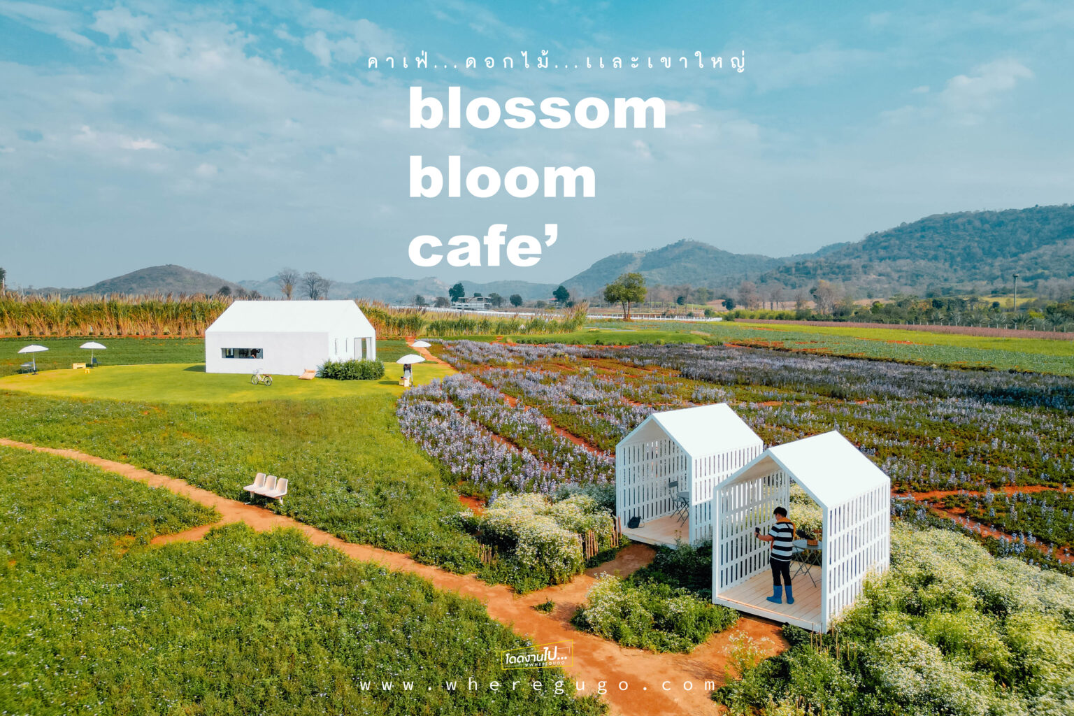 คาเฟ่ – โ ด ด ง า น ไ ป